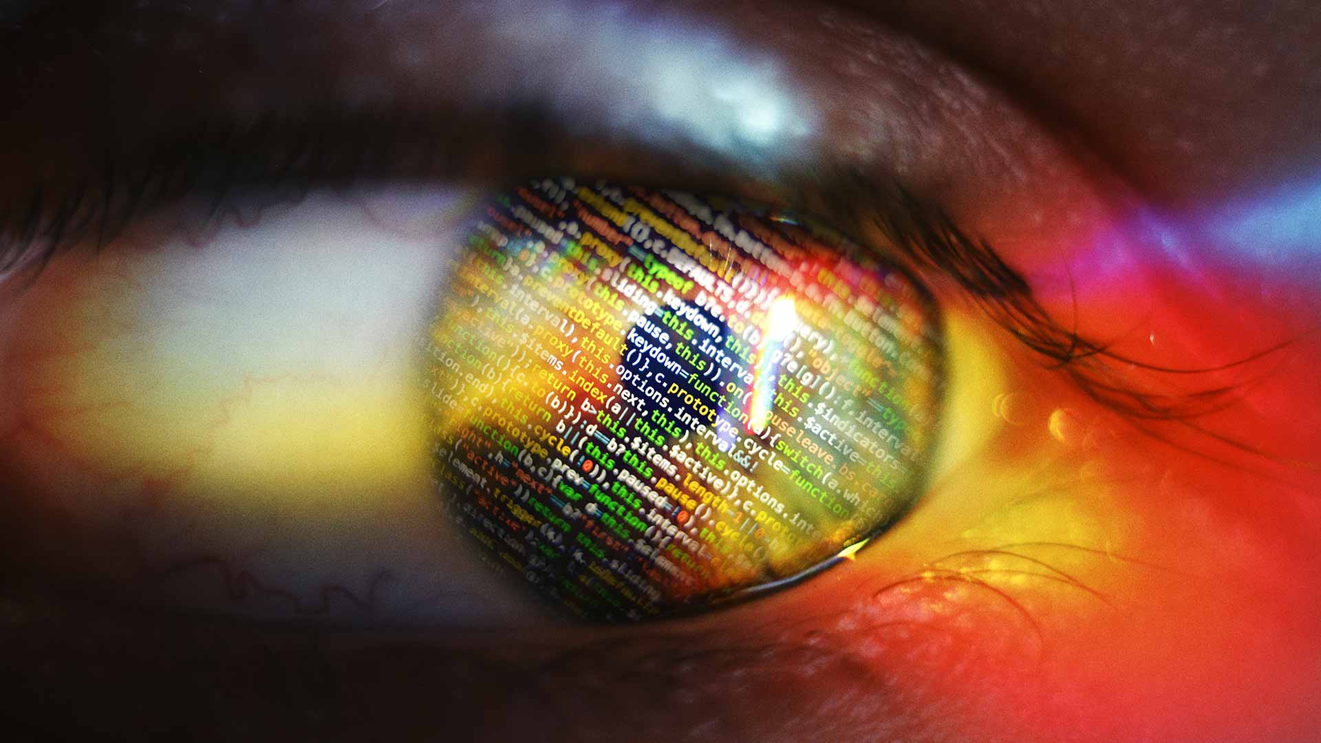 What It Really Takes to Learn Something New | Jason Petersen